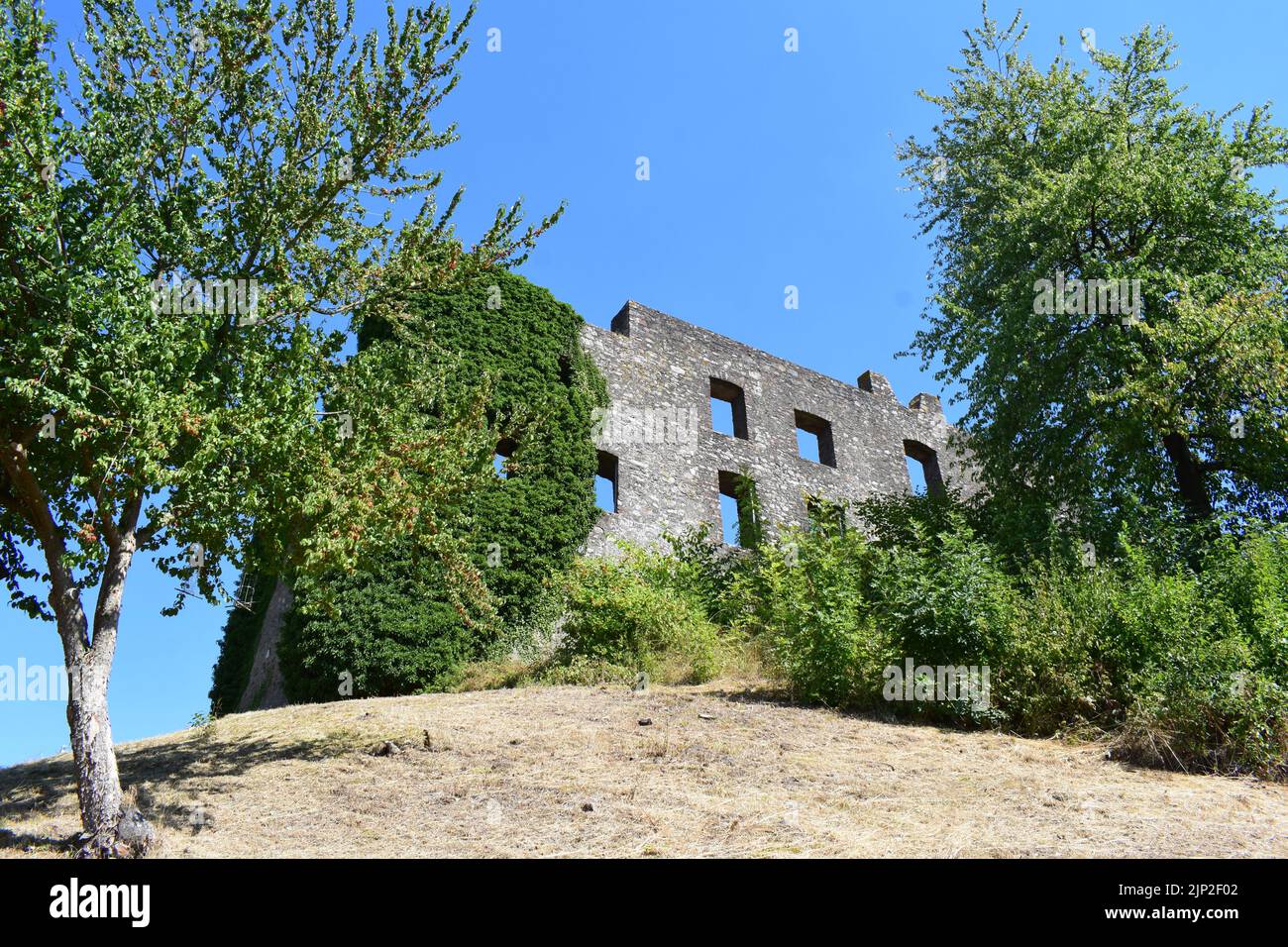 castle ruin in Ulmen Stock Photo - Alamy