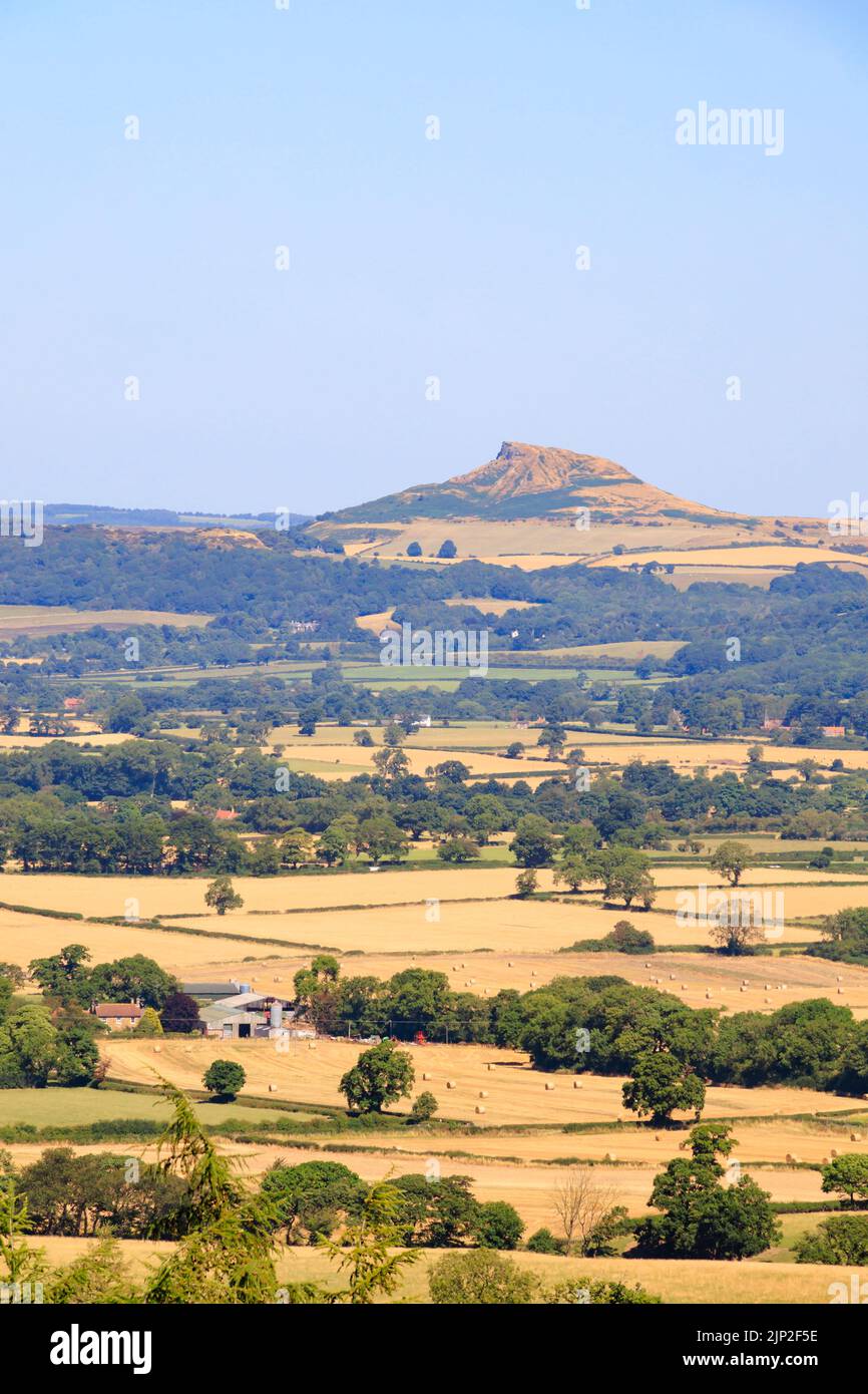 Roseberry Topping seen over ripe harvested wheat fields. North ...