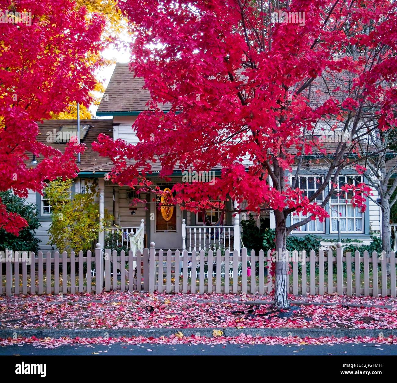 Trees on side of road hi-res stock photography and images - Alamy