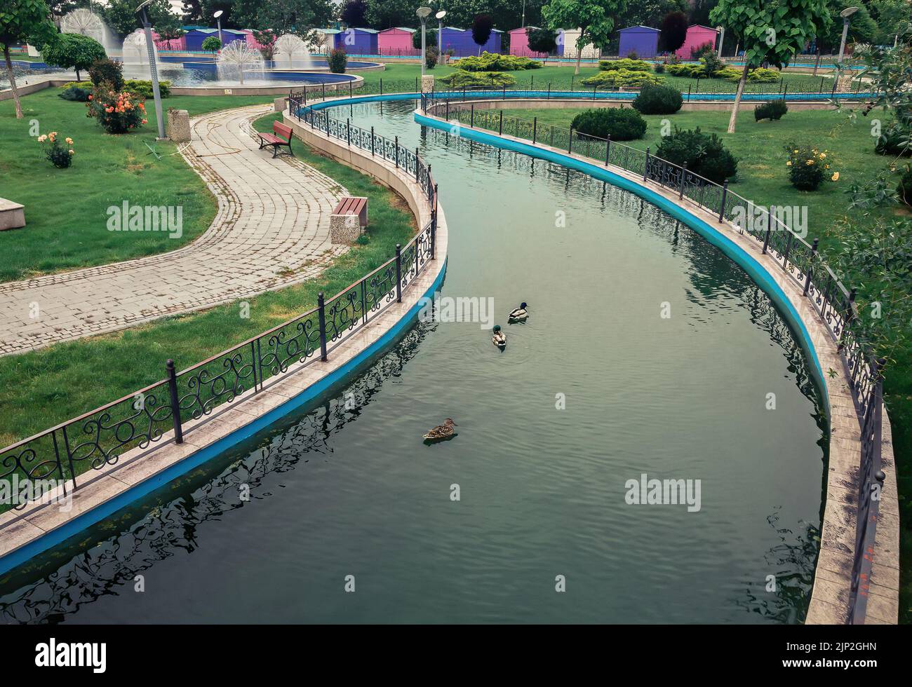The Tineretului park in Bucharest, Romania with cute ducks swimming in ...