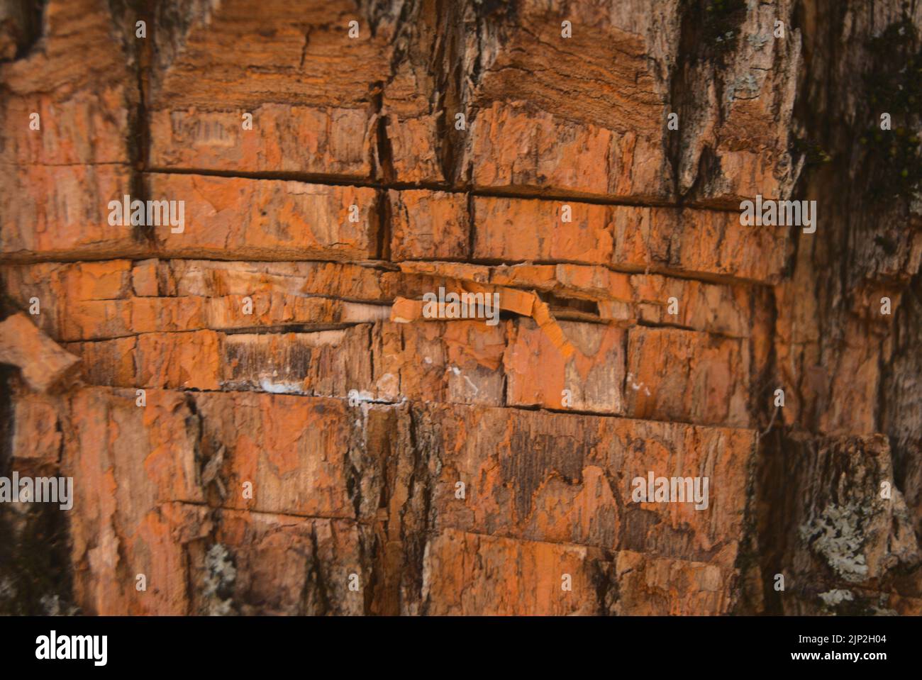 Damaged wood texture hi-res stock photography and images - Alamy