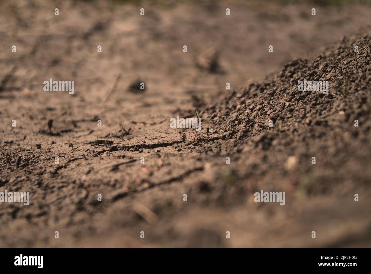 Soft brown hi-res stock photography and images - Alamy