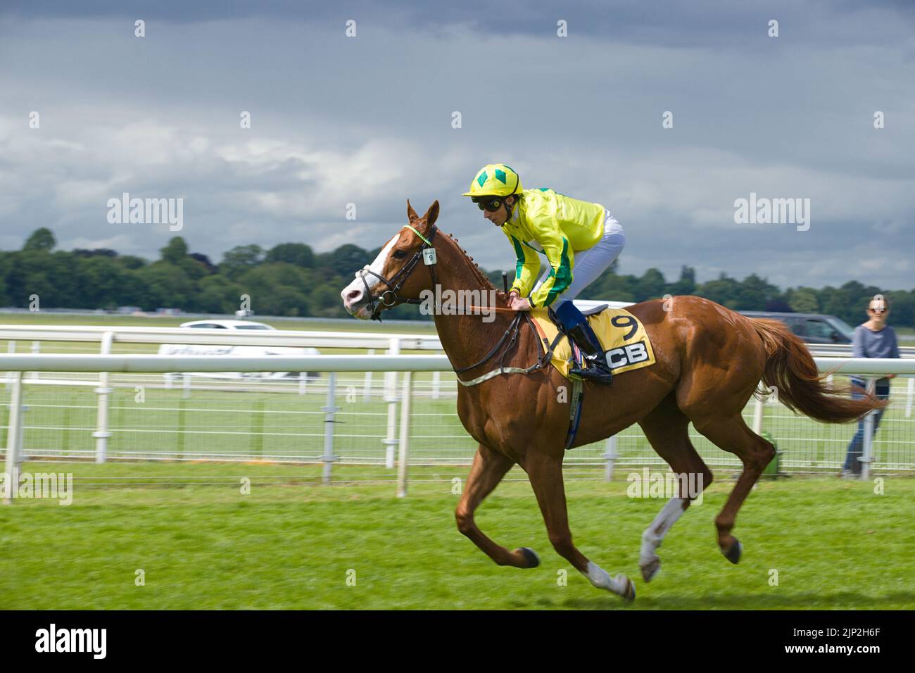 Jockey William Buick riding Animal Instinct at York Races Stock Photo ...