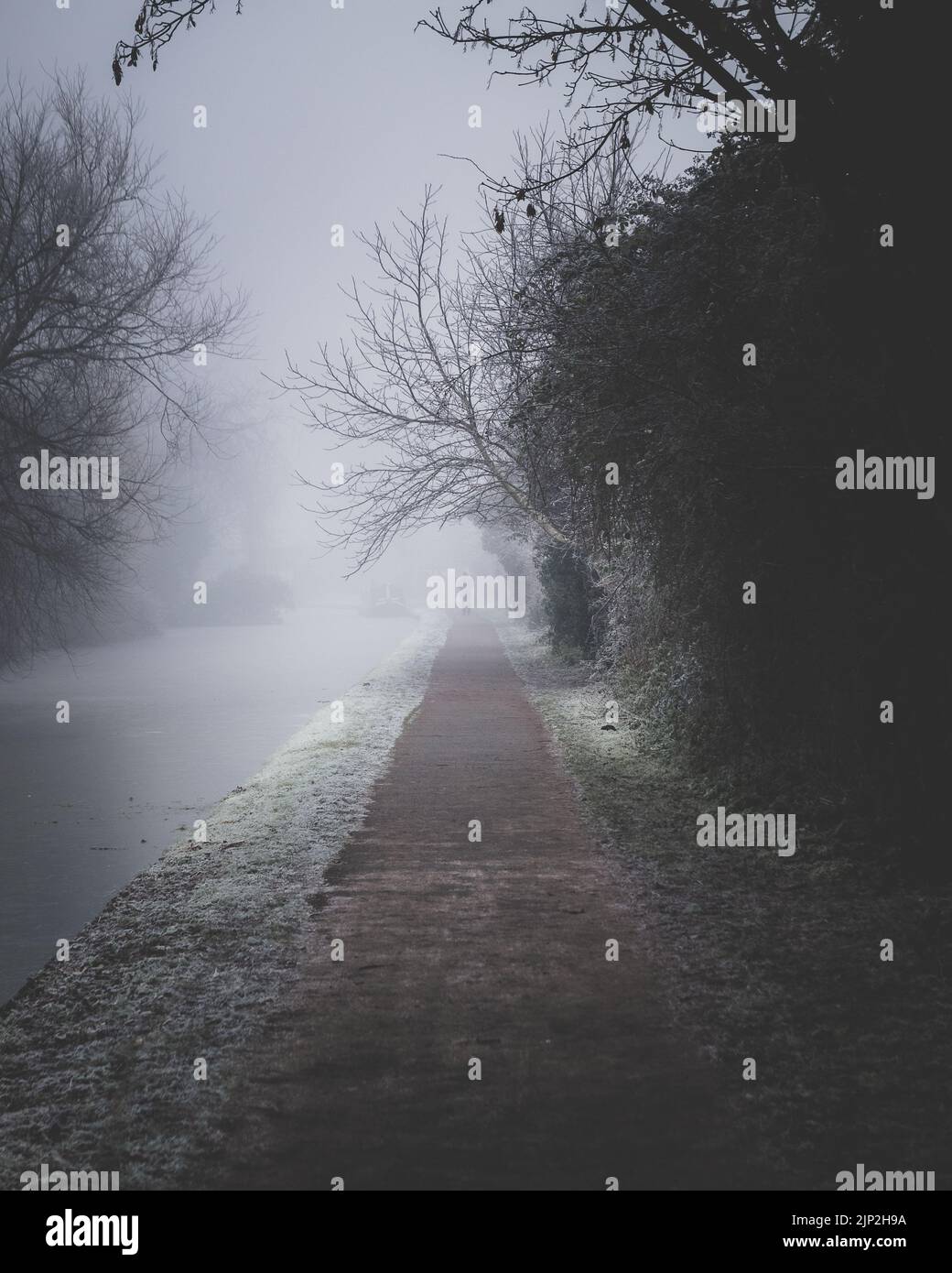 A vertical shot of a walking path along a river in a forest on a gloomy ...