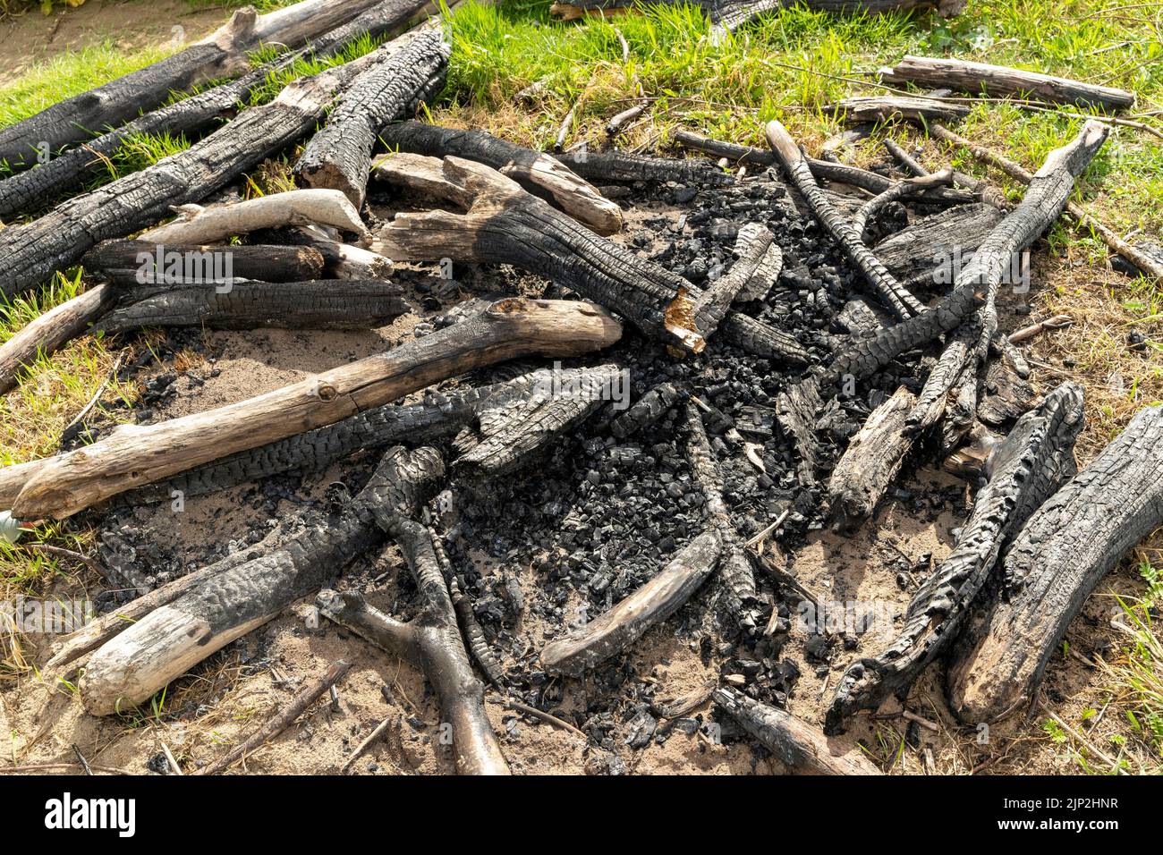 old extinguished fire pit. close-up, unburned firewood on green grass ...