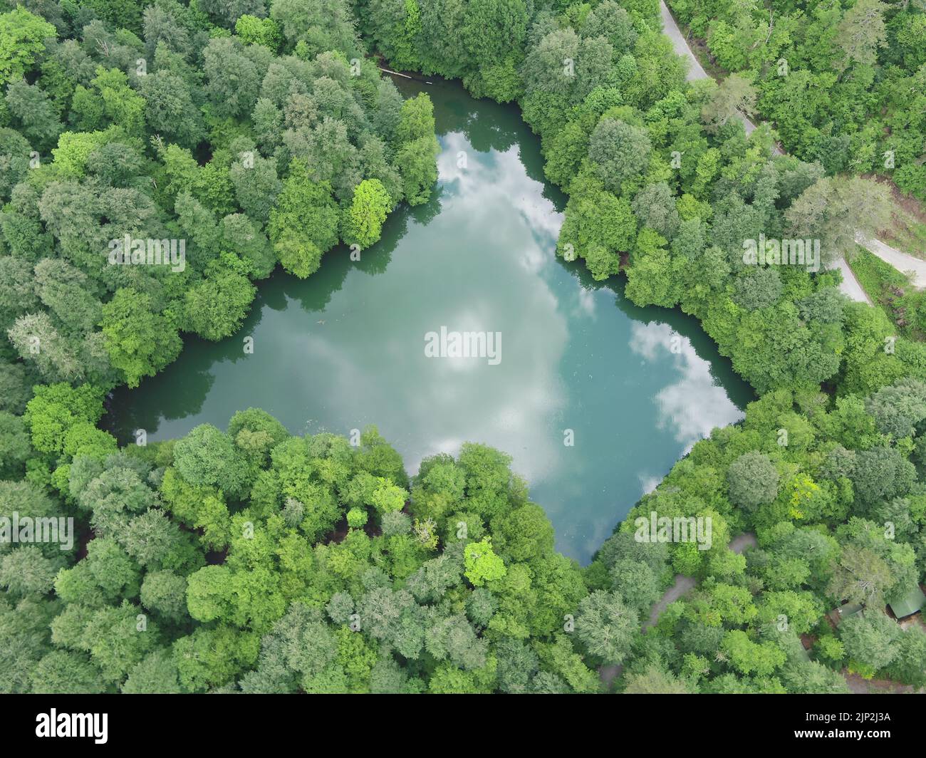 An aerial view of a small lake surrounded by thick forest Stock Photo ...
