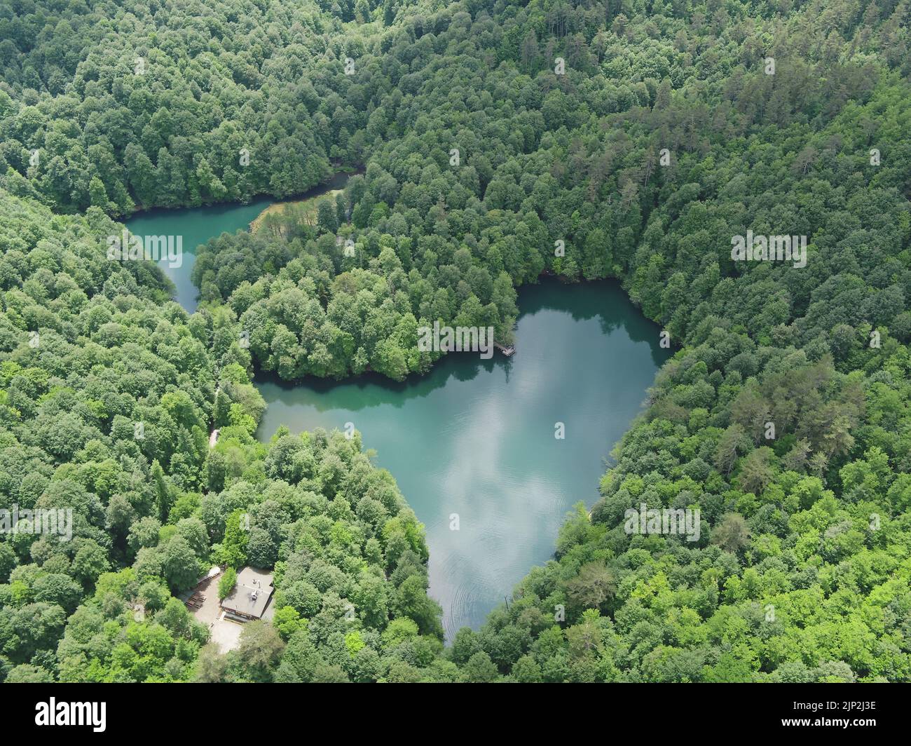 An aerial view of a small lake surrounded by thick forest Stock Photo ...