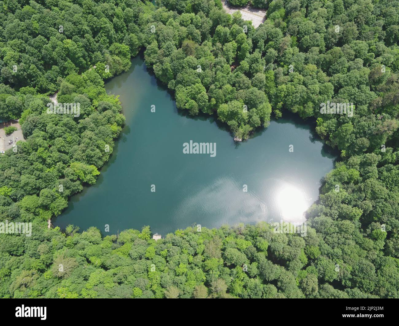 An aerial view of a small lake surrounded by thick forest Stock Photo ...