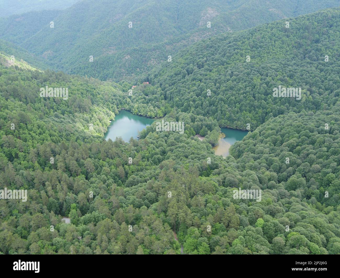 An aerial view of a small lake surrounded by thick forest Stock Photo ...