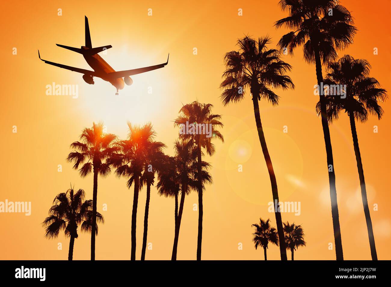 sunset, airplane, palm, sunsets, airplanes, plane, planes, palm trees ...