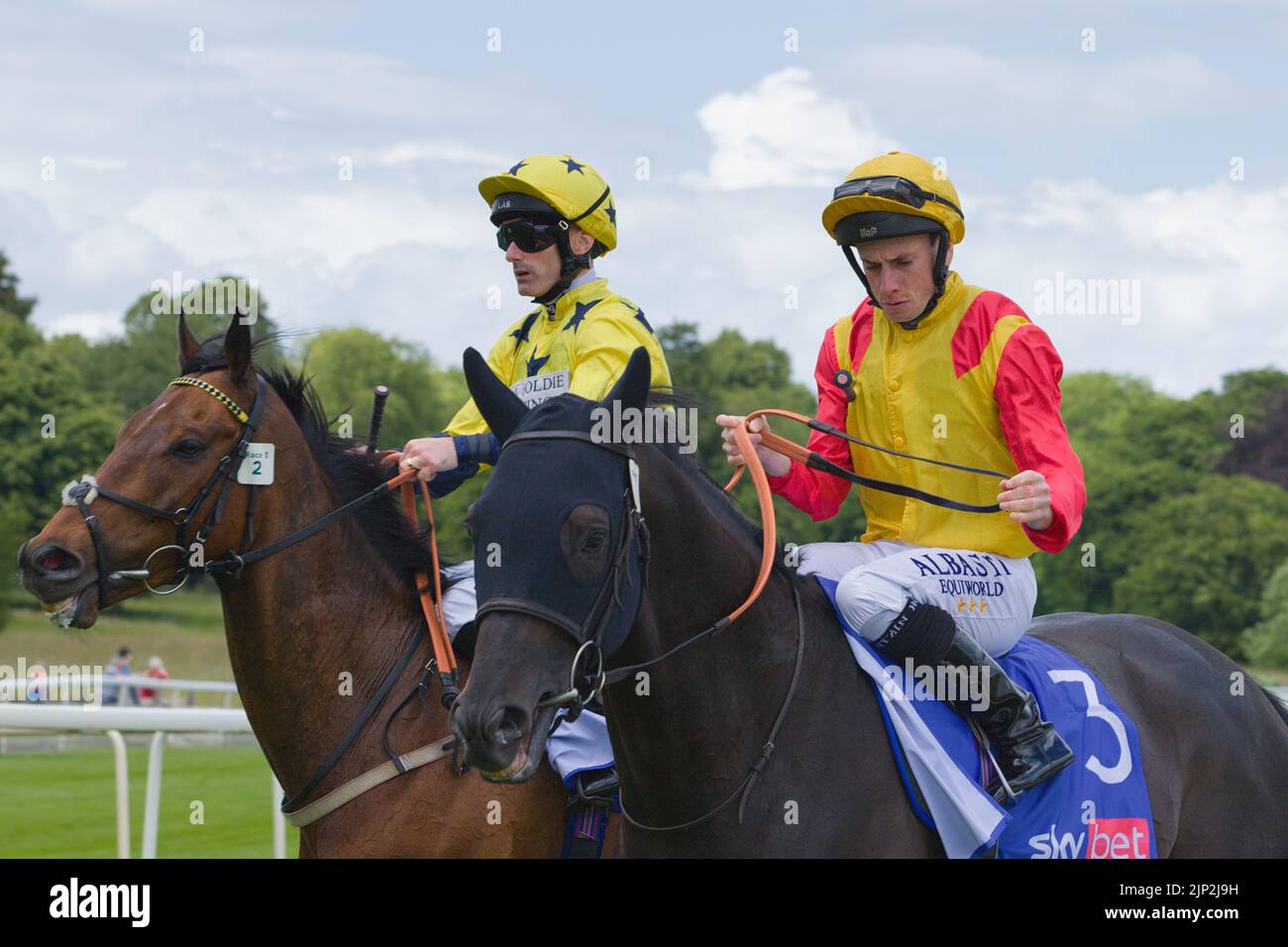 Euchan glen horse hi-res stock photography and images - Alamy