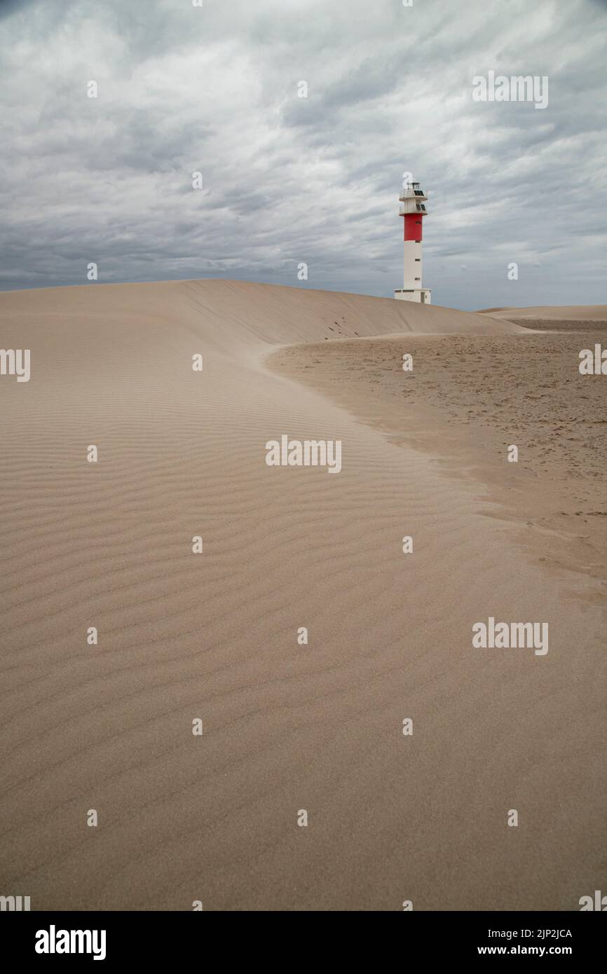 A vertical of a lighthouse in Badia del Fangar, Delta del Ebre in ...
