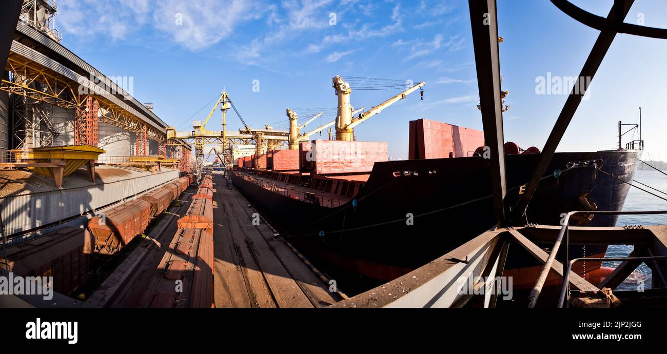 Loading grain into holds of sea cargo vessel in seaport from grain ...