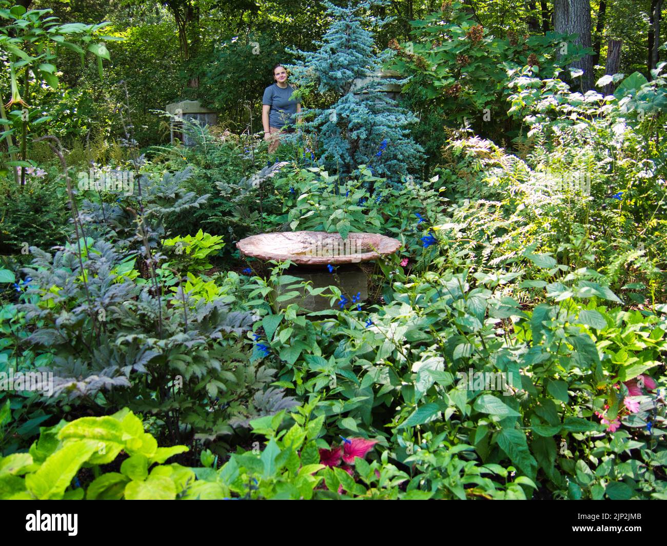 Prosperous colors hi-res stock photography and images - Alamy