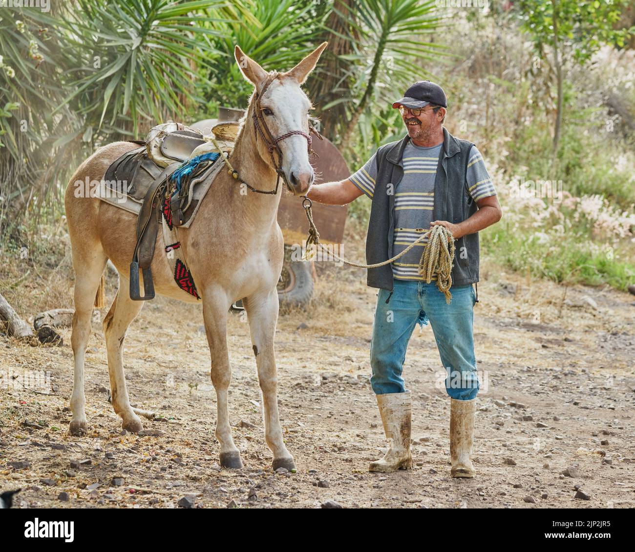 Portrait farmer man horse hi-res stock photography and images - Alamy