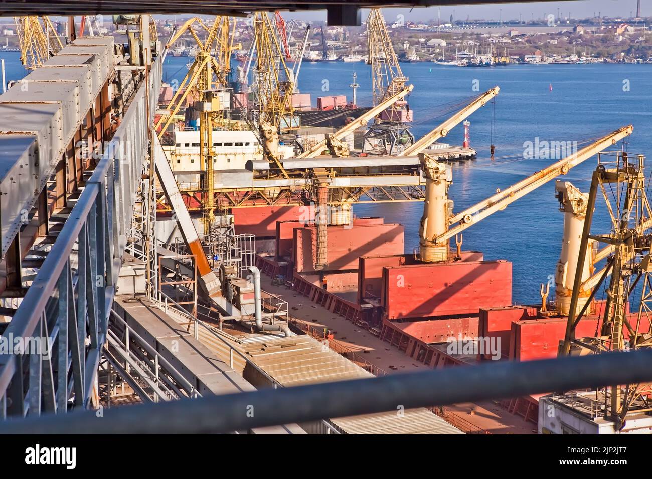 Loading grain into holds of sea cargo vessel in seaport from grain ...