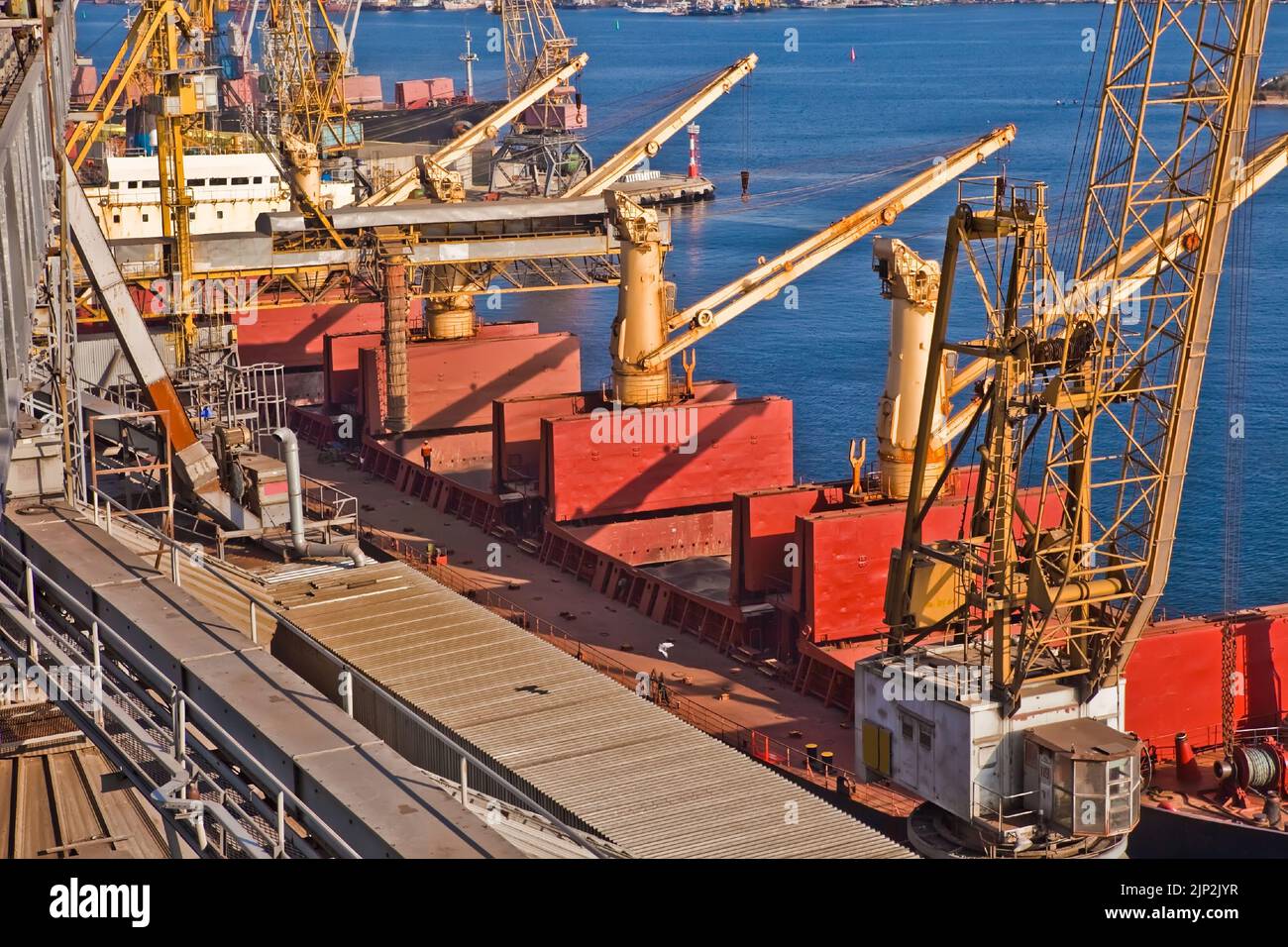 Loading grain into holds of sea cargo vessel in seaport from grain ...