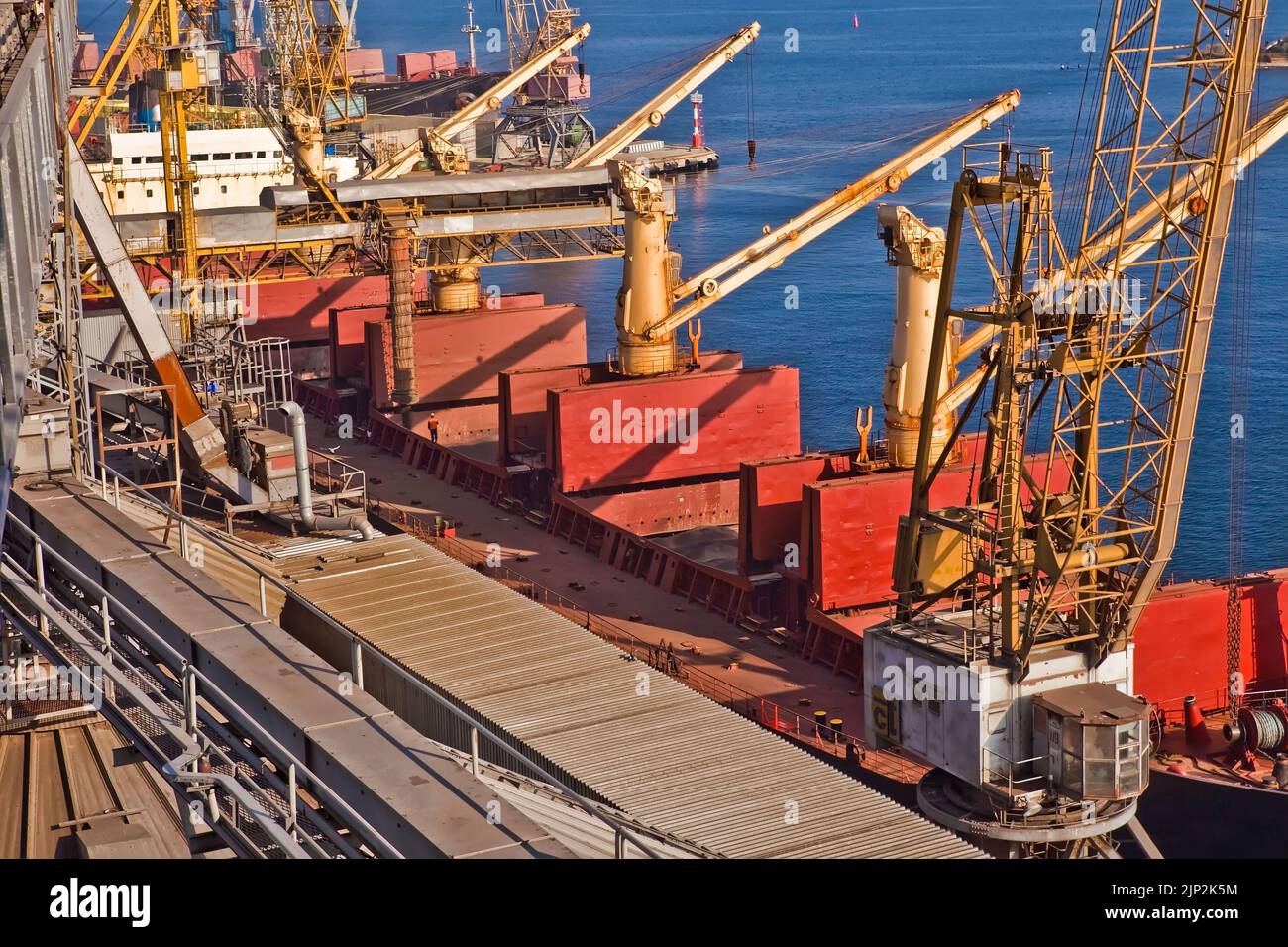 Loading grain into holds of sea cargo vessel in seaport from grain ...