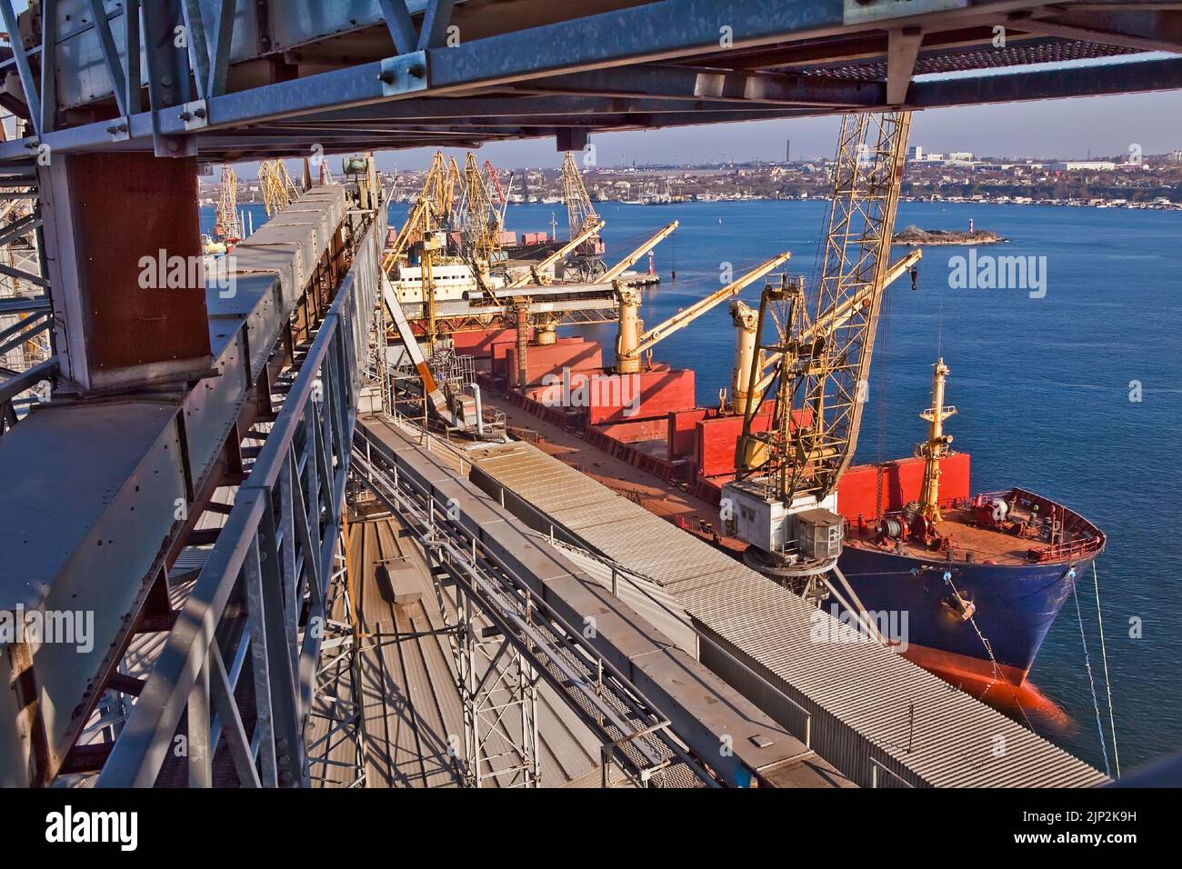 Loading grain into holds of sea cargo vessel in seaport from grain ...