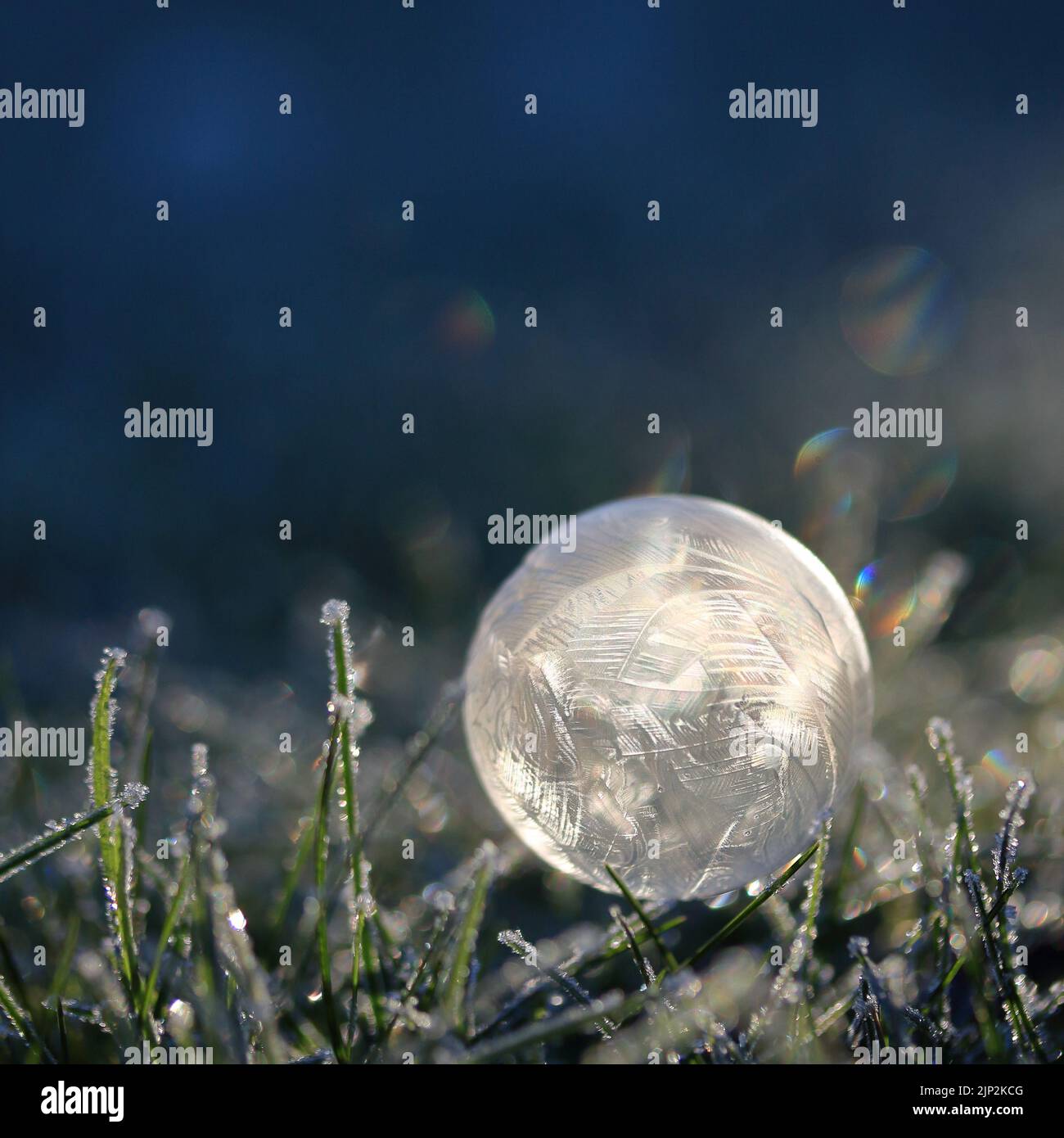 frozen, soap bubble, frozens, soap bubbles Stock Photo - Alamy