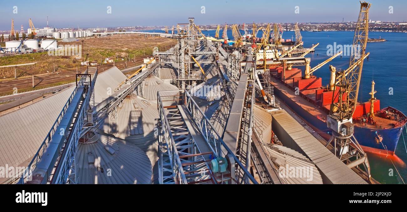 Loading grain into holds of sea cargo vessel in seaport from grain ...