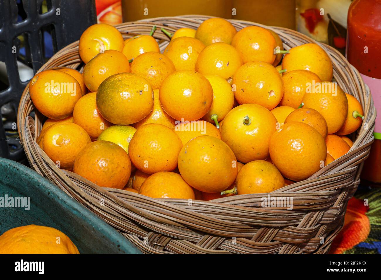 Basket with several organic kumquat tangerines, a berry that looks like ...