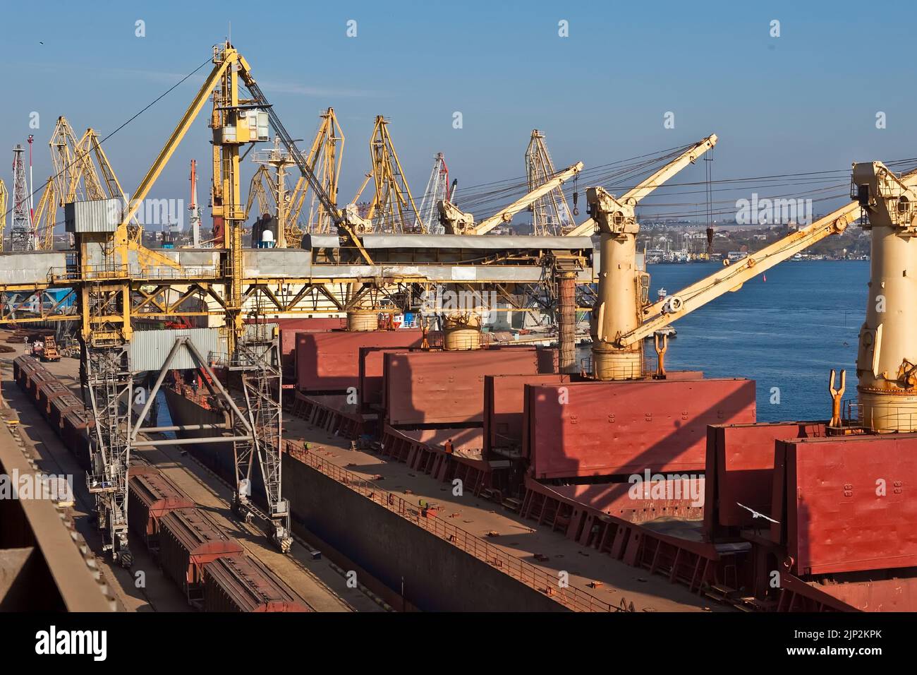 Loading grain into holds of sea cargo vessel in seaport from grain ...