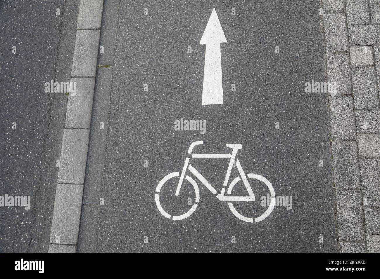 A bicycle lane ahead sign with arrow which shows the direction painted ...