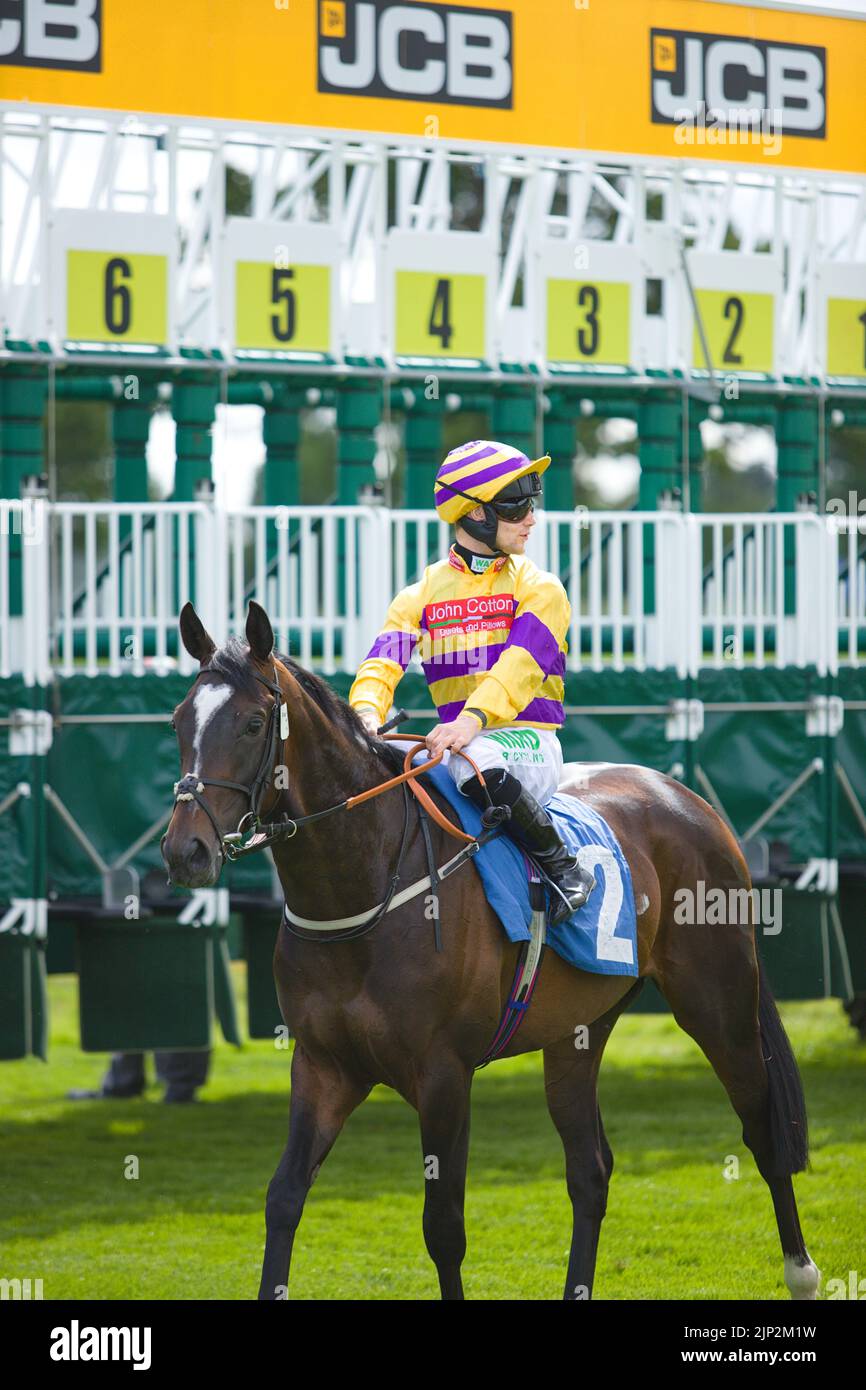 Jockey Jason Hart on Common Acclaim at York Races Stock Photo - Alamy