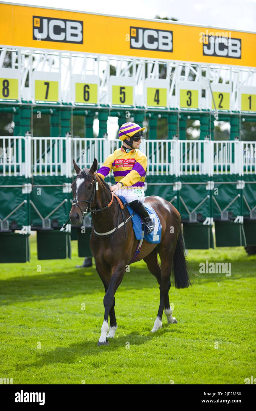 Jockey Jason Hart on Common Acclaim at York Races Stock Photo - Alamy