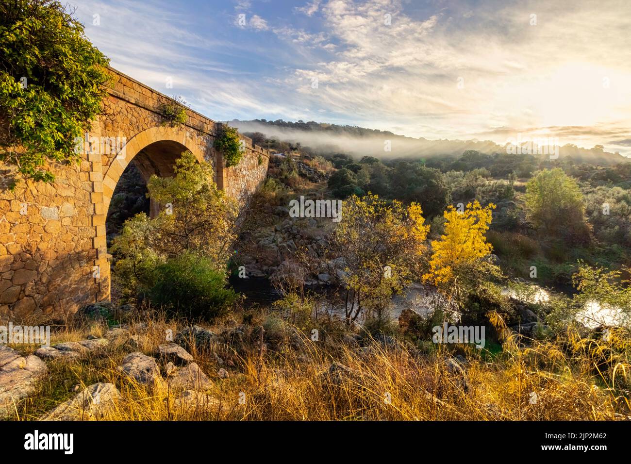 landscape with stone bridge over stream with green and yellow plants ...