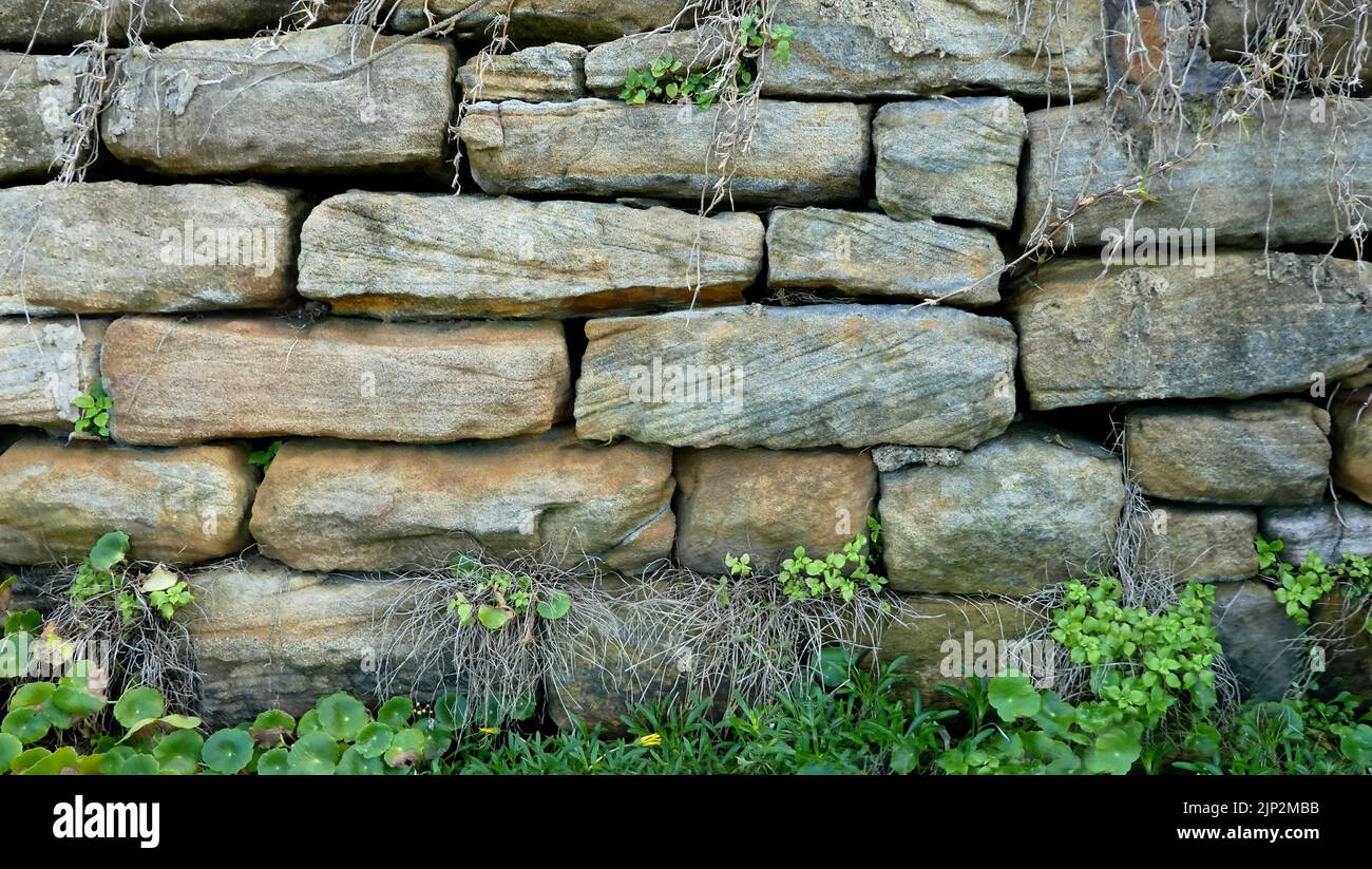 dry stone wall constructed with natural sandstone rock Stock Photo - Alamy