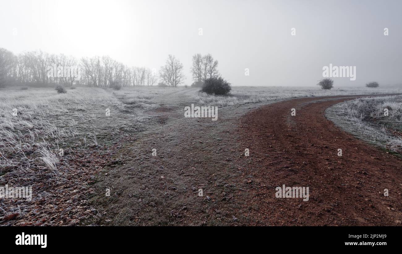 Winter landscape with totally frozen dirt road and intense fog hiding ...