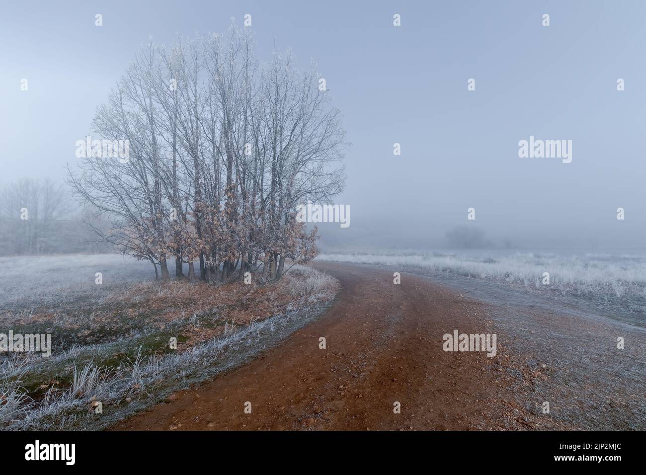 Totally frozen winter landscape with fog on the horizon and ice on the ...