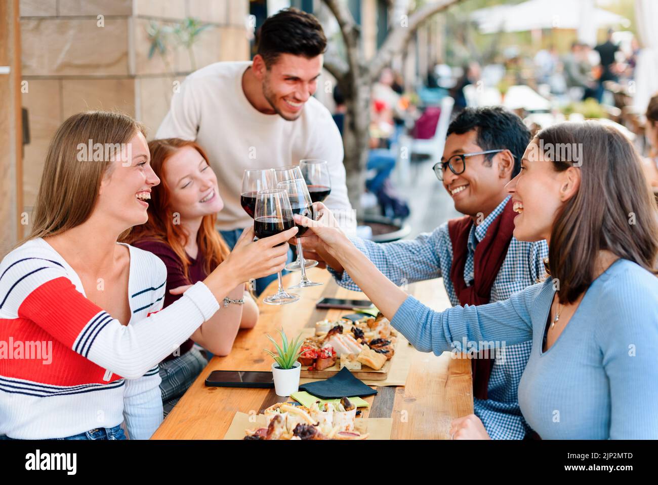 vitality, friends, toast, cheers, außenbereich, fun, living, friend ...