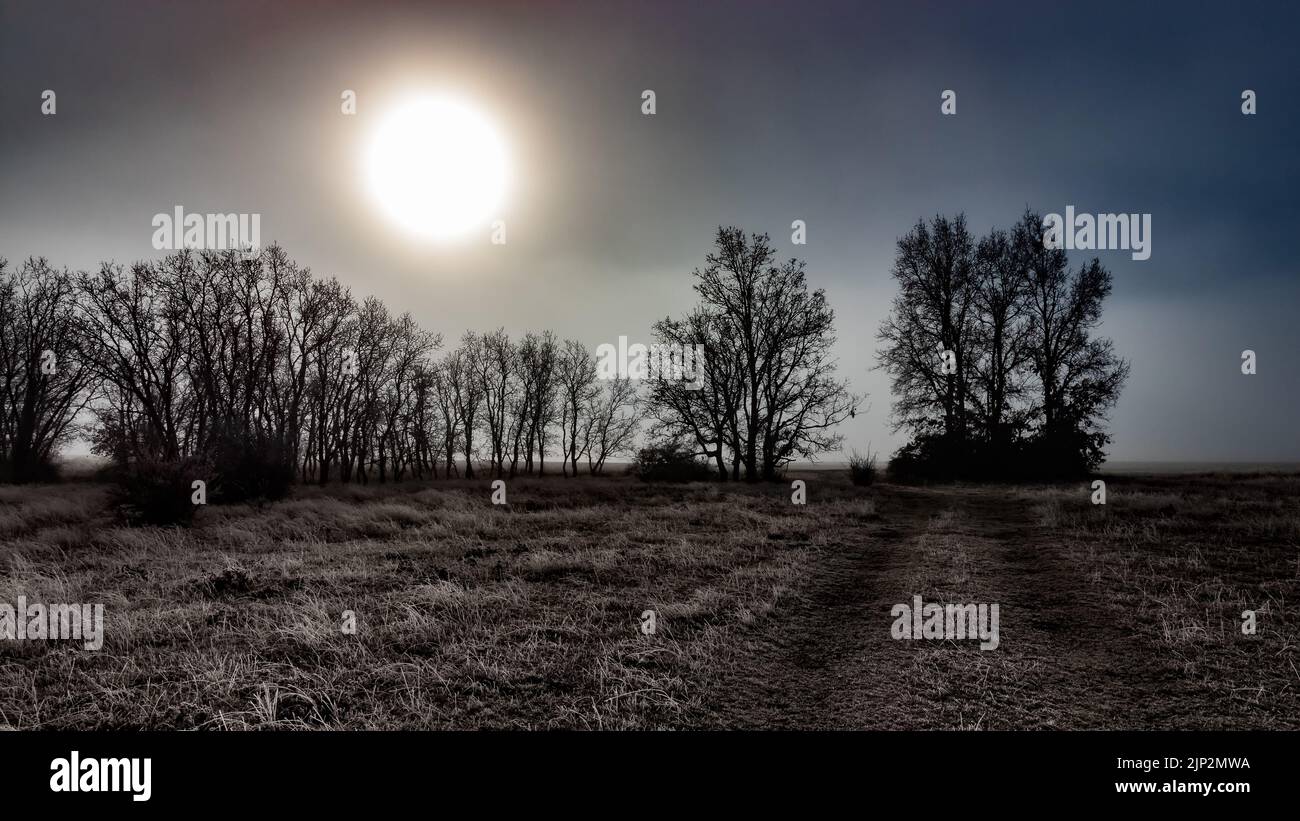 Winter landscape at dusk with a great sun on the horizon between an ...