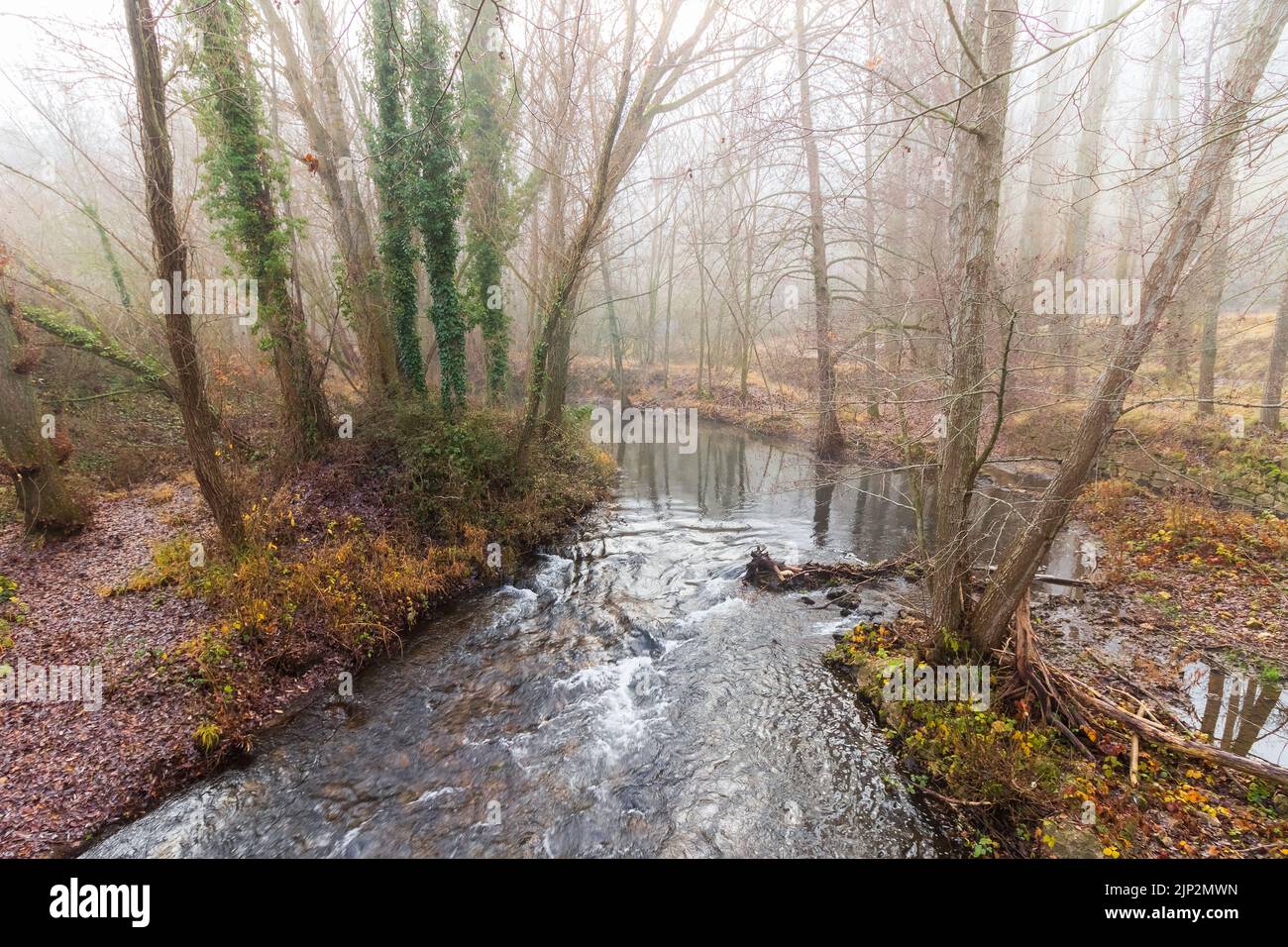 Winter landscape in the forest with river, trees without leaves and ...