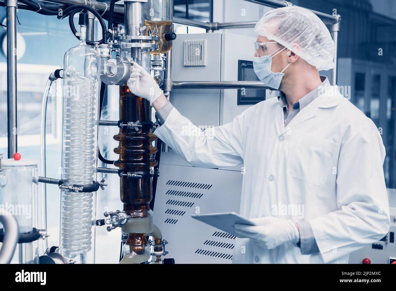 medicine factory scientist worker with Cannabis CBD oil extraction ...