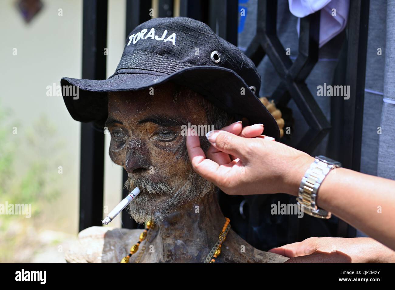 Toraja, South Sulawesi, Indonesia. 15th Aug, 2022. Manene ritual ...