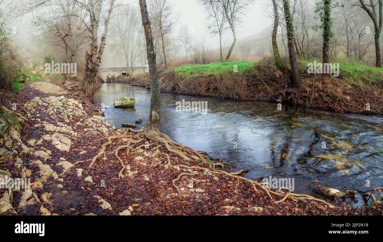 Winter landscape in the forest with river, trees without leaves and ...
