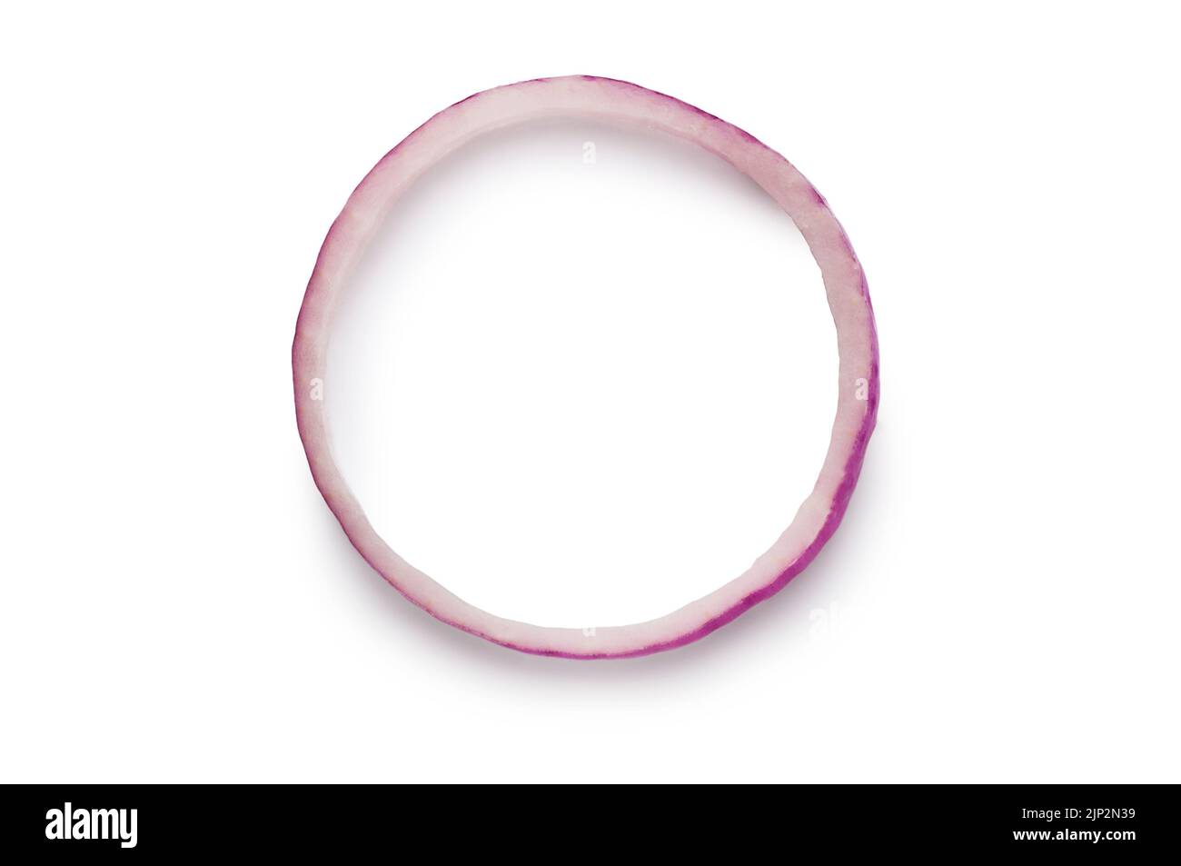 Studio shot of sliced red onions rings cut out against a white ...