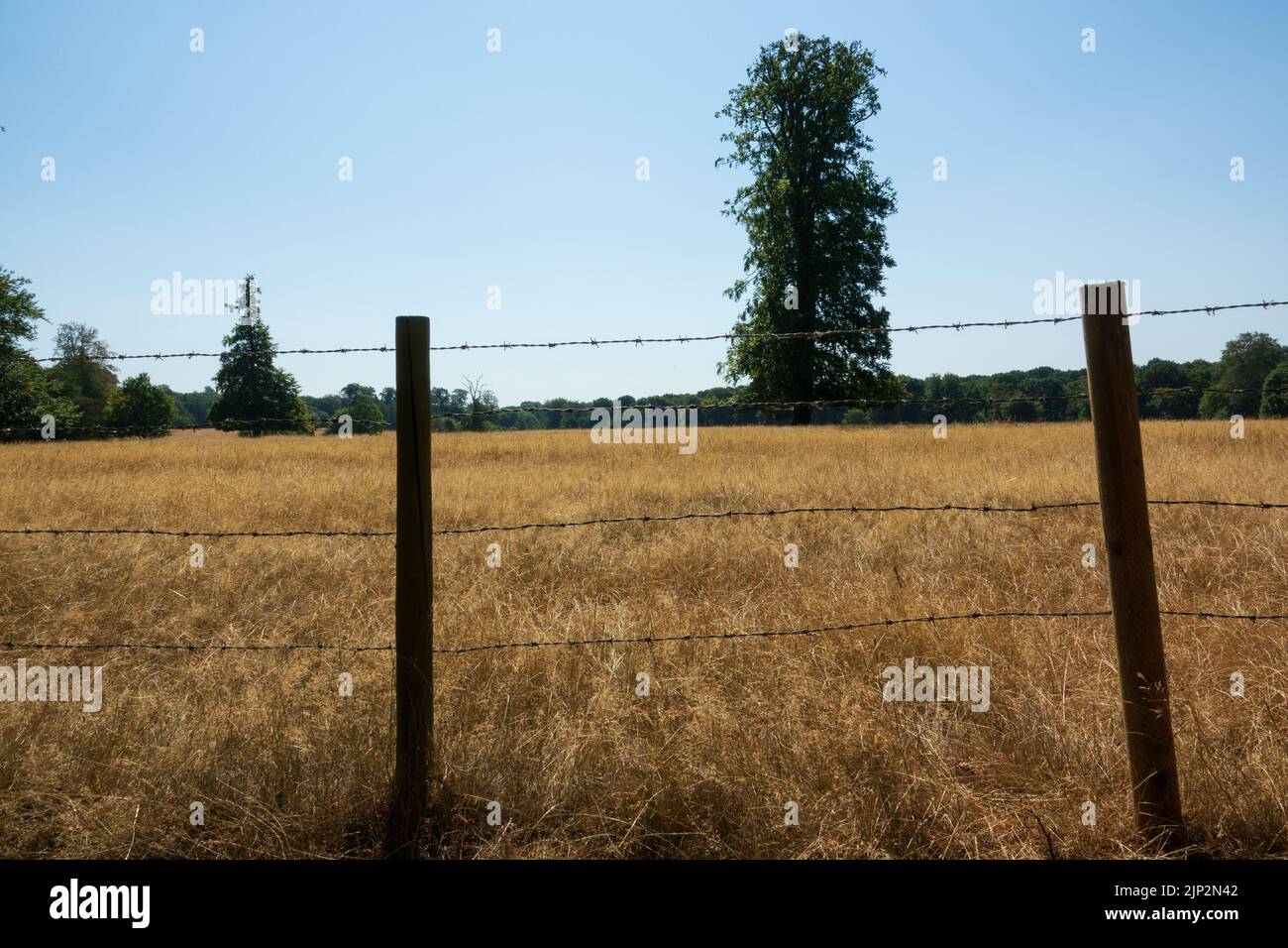 Parched field hi-res stock photography and images - Alamy