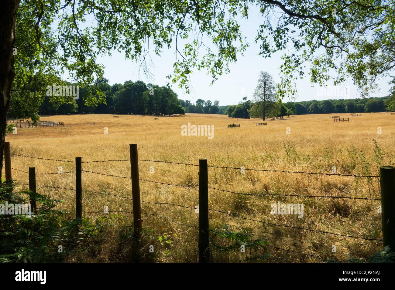 drought dry parched field Stock Photo - Alamy