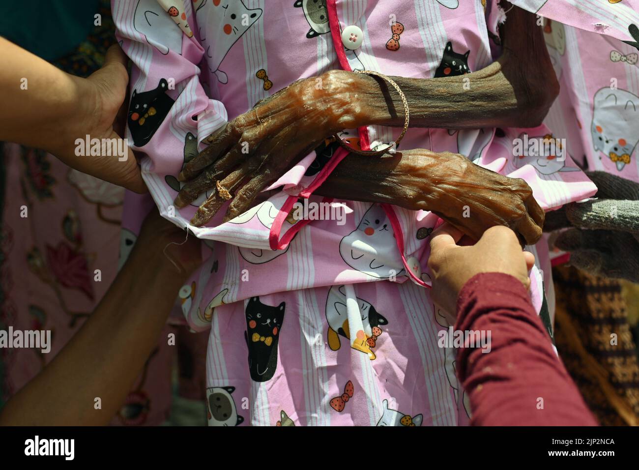 Toraja, South Sulawesi, Indonesia. 15th Aug, 2022. Manene ritual ...