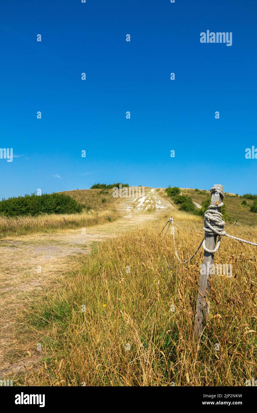 Ivinghoe Beacon, Buckinghamshire, England Stock Photo - Alamy
