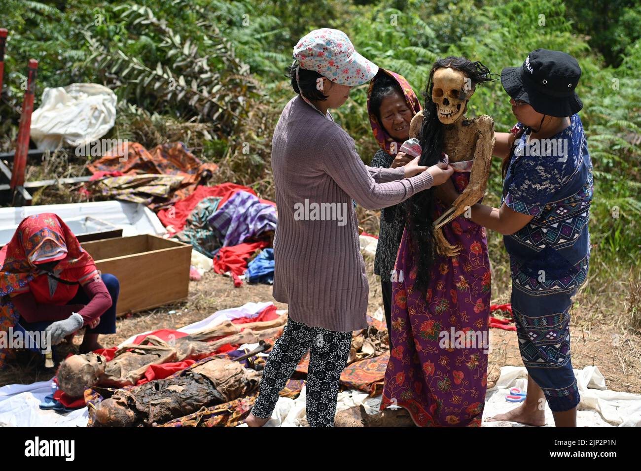 2022 0302 jpg hi-res stock photography and images - Alamy