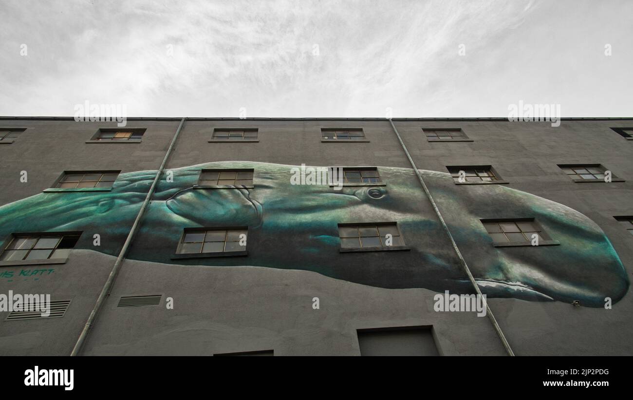 A low-angle shot of public graffiti of a huge whale in the port area of ...
