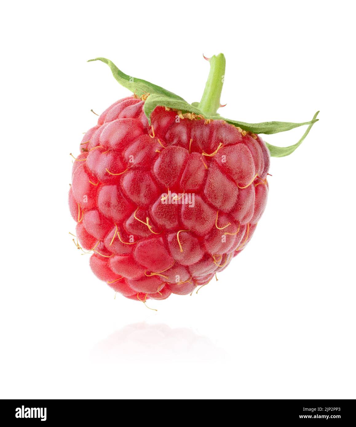 Single red raspberry isolated on white background Stock Photo - Alamy
