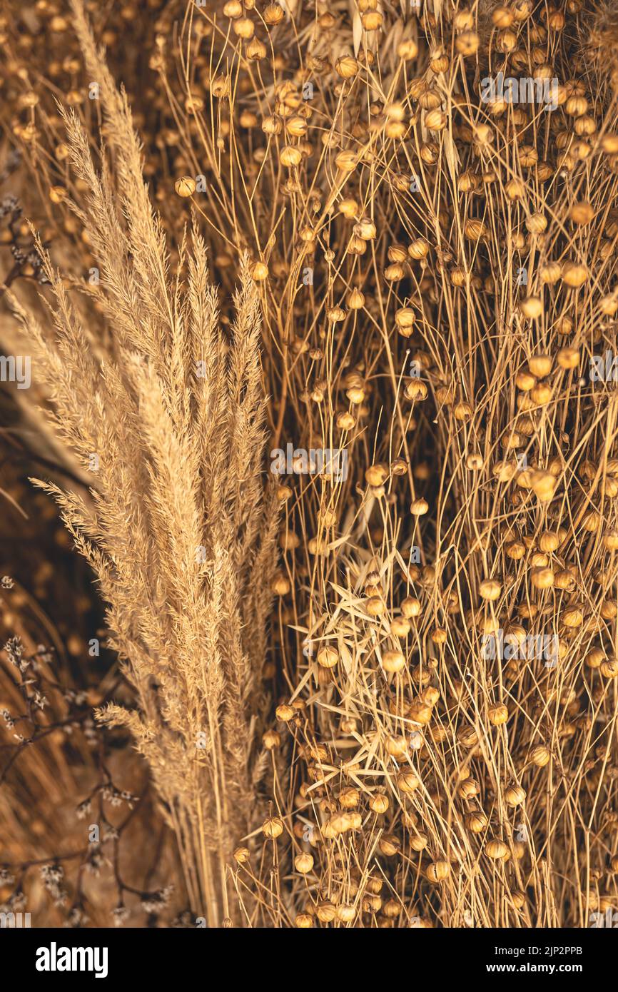 Nest of dried flowers hi-res stock photography and images - Alamy