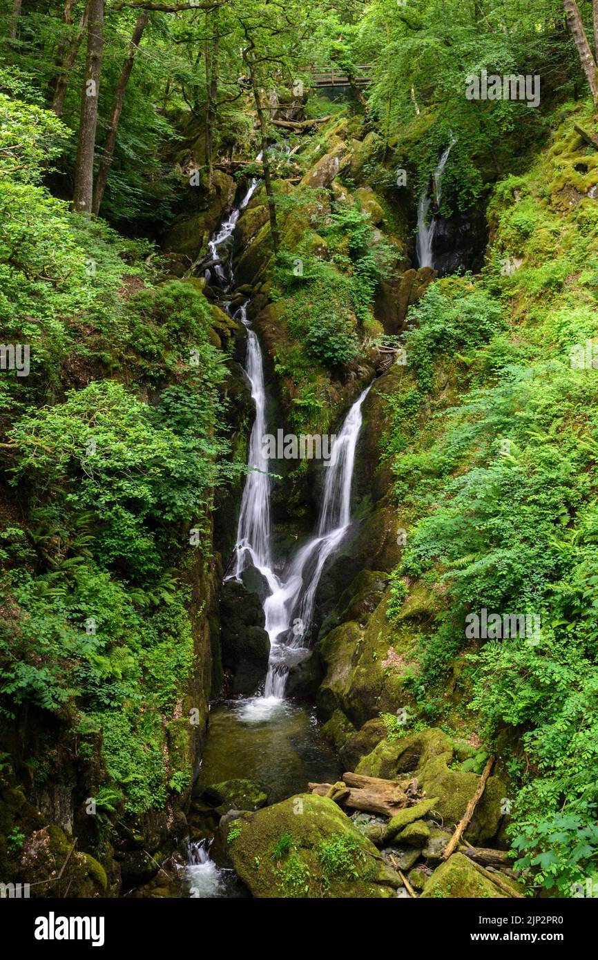 Stock Ghyll Force Waterfall in The Lake District National Park Stock ...